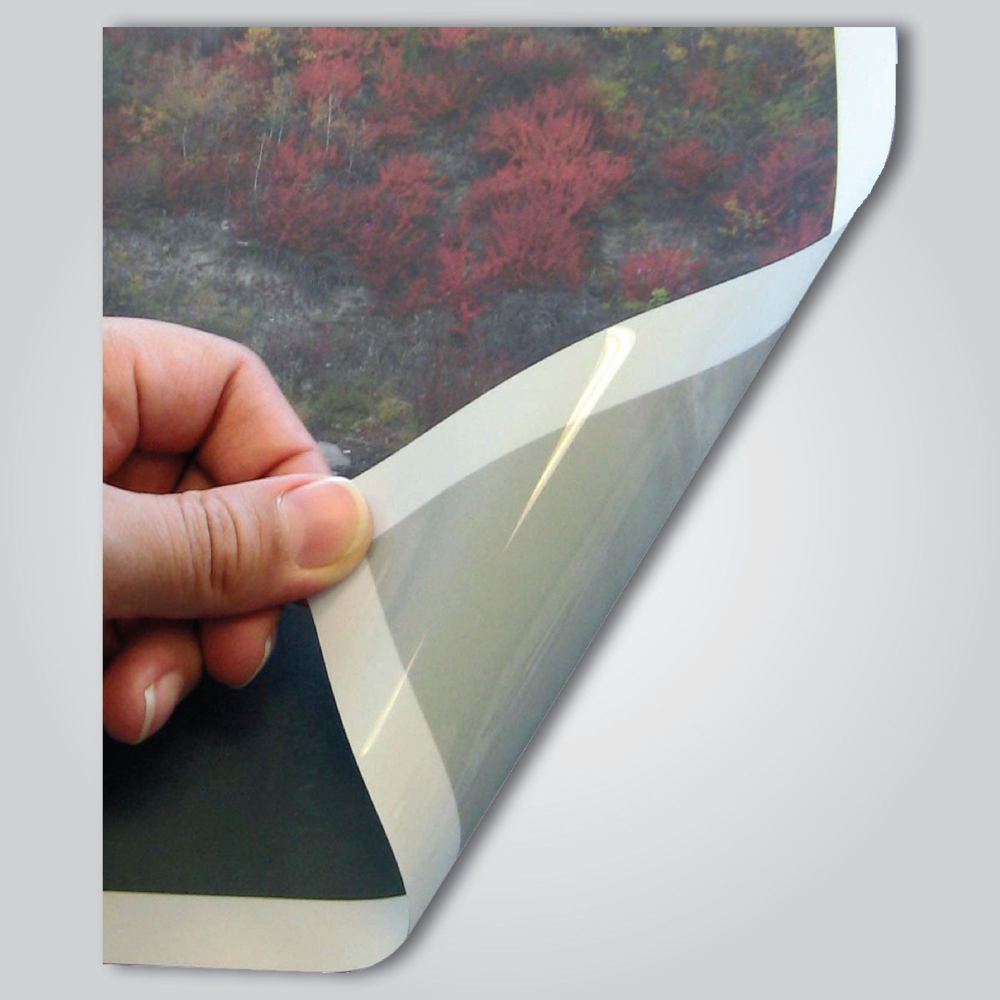 Backlit Film Printed Signs Calgary | Digital Post